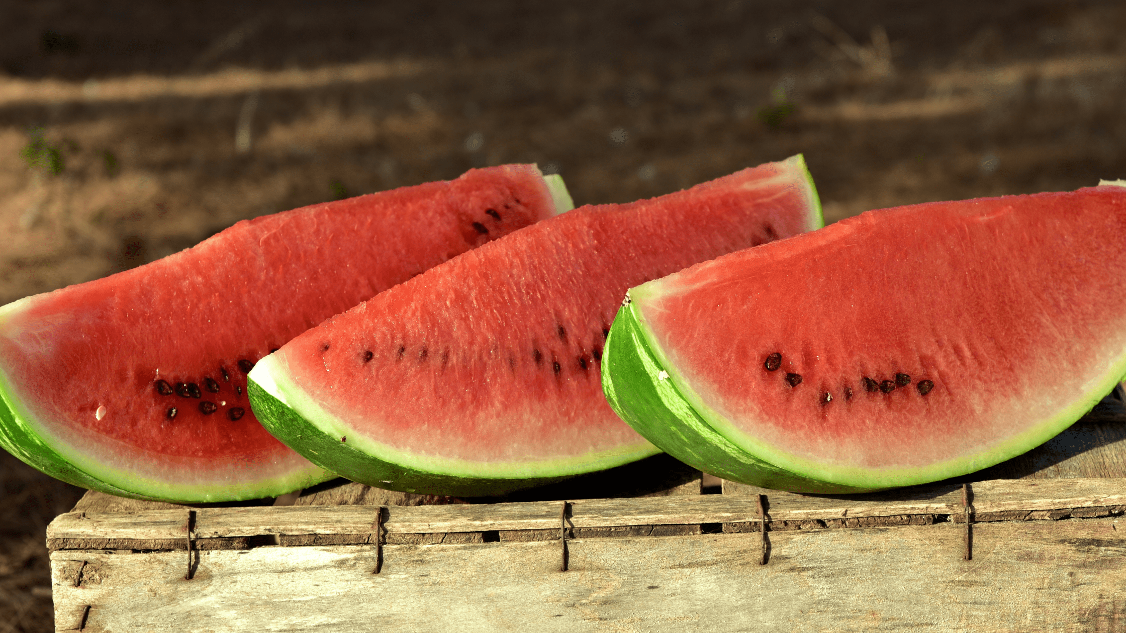 Alimentos veraniegos II - Sandía | Recetas de verano